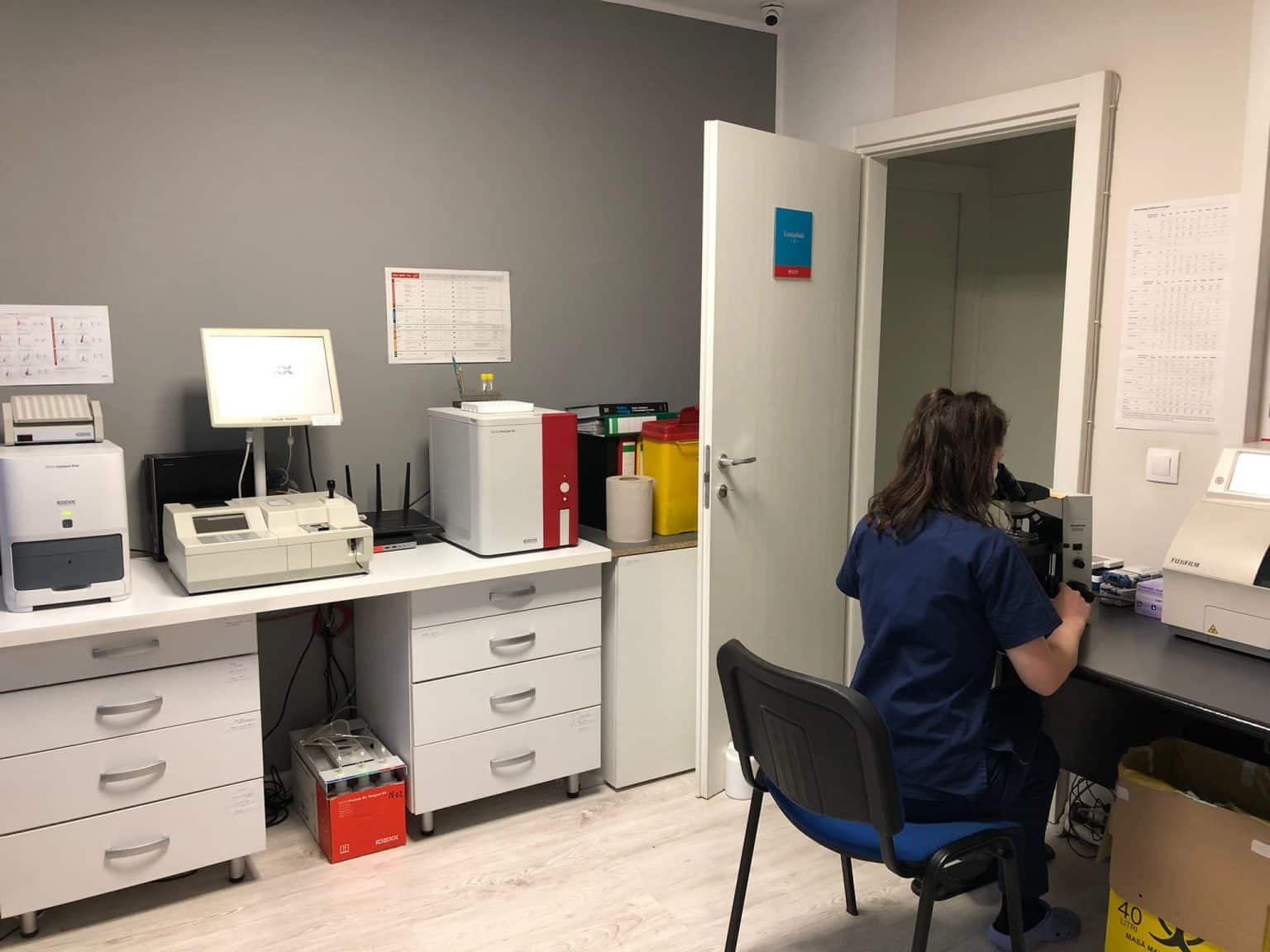 Importanţa examenului coproparazitologic la animalele de companie - Pet ...